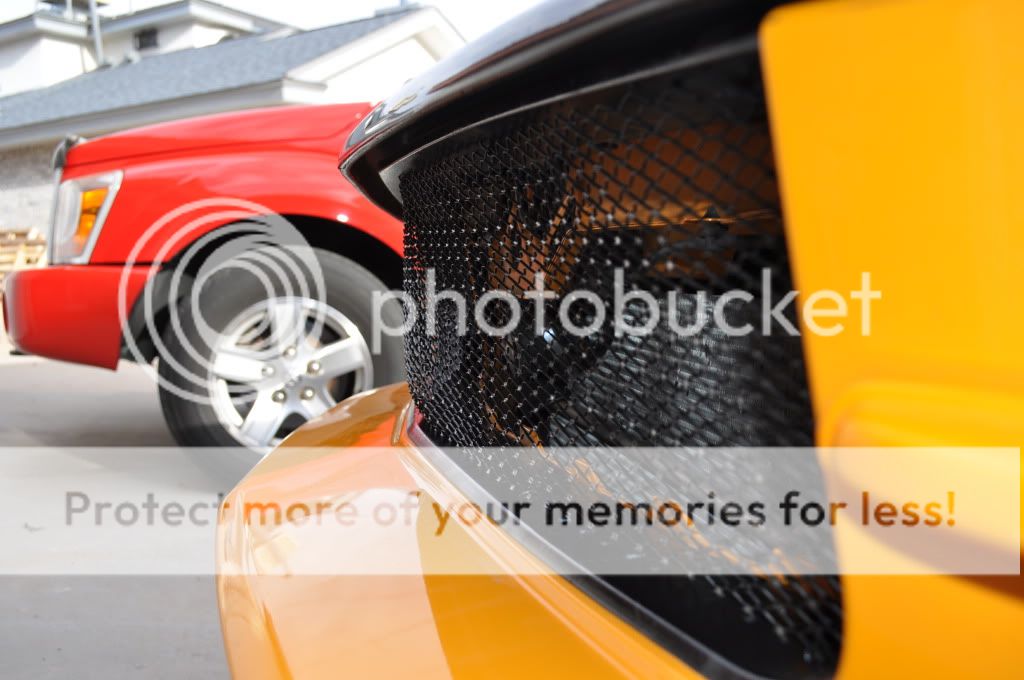 Custom Black Mesh Grille | S197 Mustang Forum - S197Forum.com