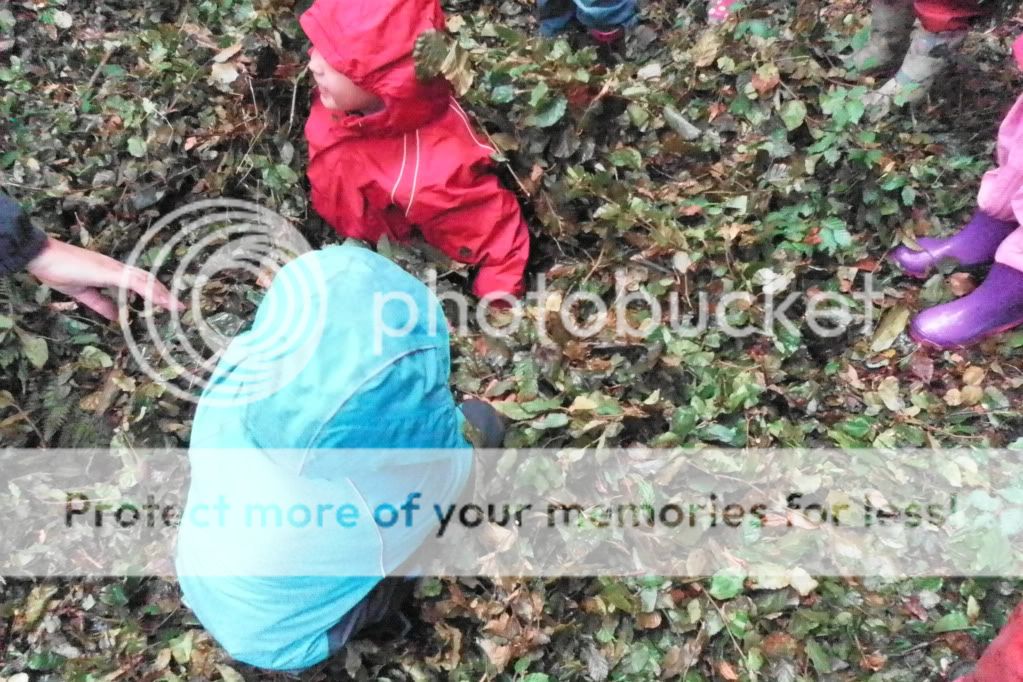 A first Forest School session | A Pre-School Year